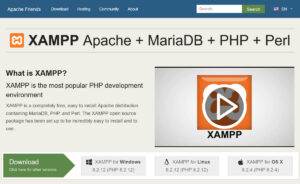 Local vs XAMPP: Which Should You Use for Local Development?